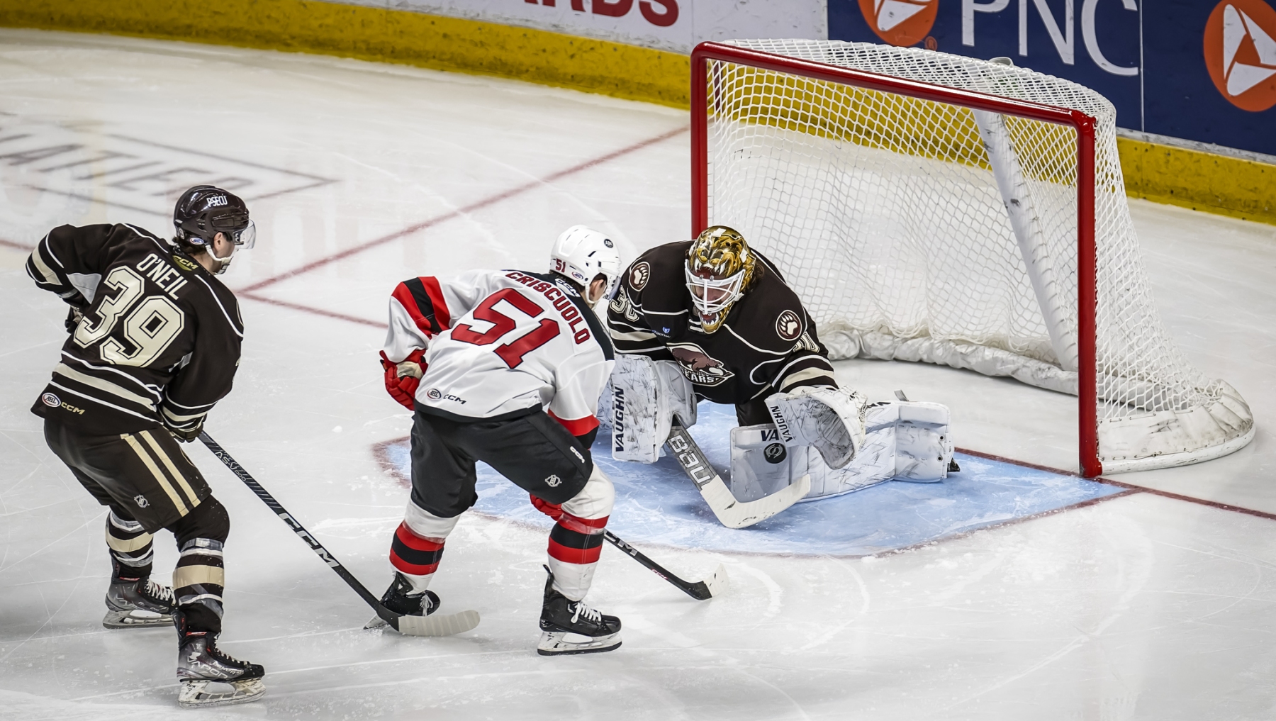 Bears' Home Win Streak Snapped in 1-0 Loss to Comets - Side Stage Magazine