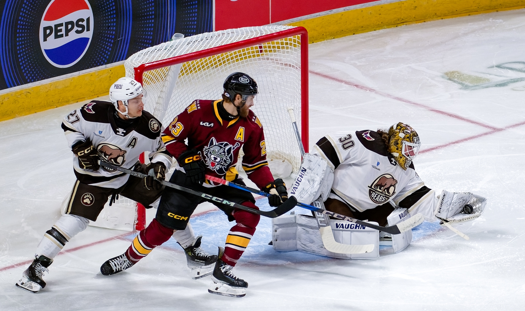 The Hershey Bears Defeat The Chicago Wolves 5-0 - Side Stage Magazine