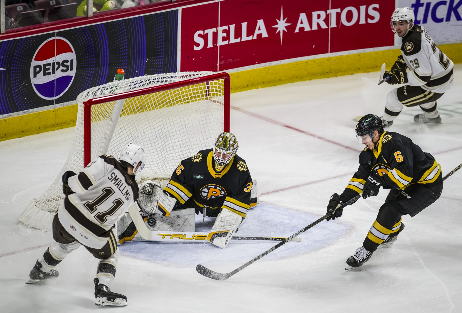 Sgarbossa, Smallman Power Bears to 5-1 Teddy Bear Toss Win Over Bruins ...